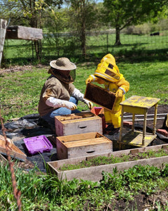 BEE KEEPING SUITS | BEE KEEPING JACKETS | PROTECTIVE BEE KEEPING ...